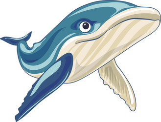 Bowhead Whale Cartoon Vector Images (over 170)