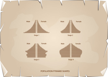 Four types of population pyramids Royalty Free Vector Image