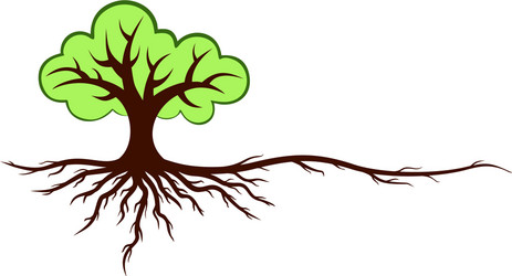 Tree with roots Royalty Free Vector Image - VectorStock