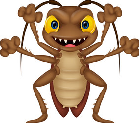 Cockroach cartoon Royalty Free Vector Image - VectorStock