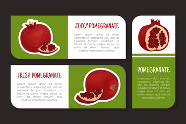 Red pomegranate sticker design with ripe fruit Vector Image