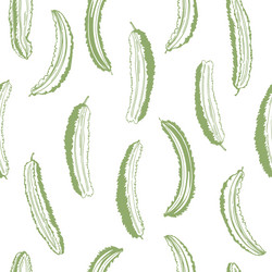 Sketch winged beans Royalty Free Vector Image - VectorStock