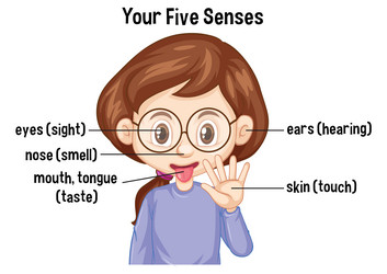 Face with Five Senses Cartoon Vector Images (over 160)