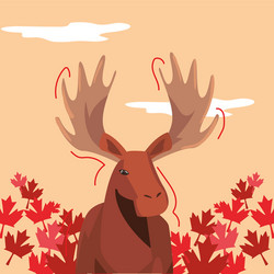 Canada Moose Vector Images (over 1,200)