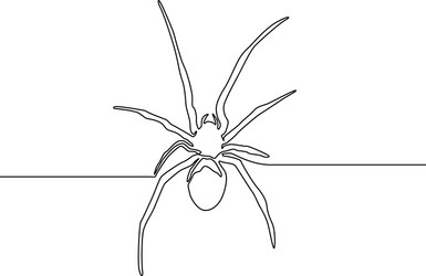 Wild tarantula spider drawing Royalty Free Vector Image