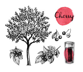 Cherry Tree Drawing Vector Images (over 3,700)