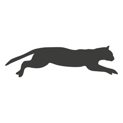 Cat Running Vector Images (over 2,800)