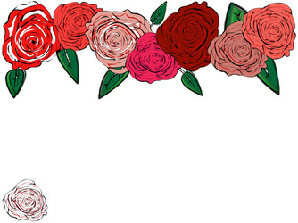 Set red and pink roses on white background Vector Image