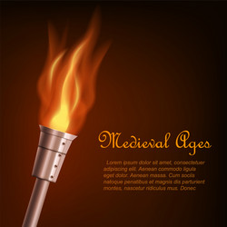 Medieval metal torch with burning fire isolated Vector Image