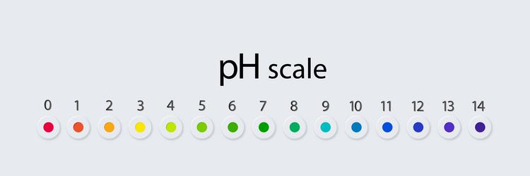 Ph scale chart for acid and alkaline solutions Vector Image