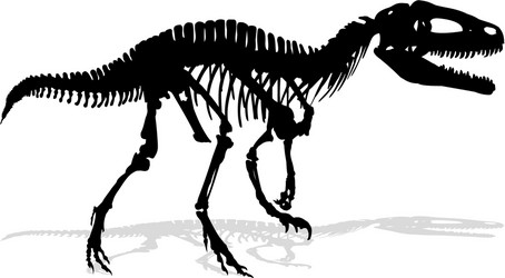 Skeleton greater rhea Royalty Free Vector Image