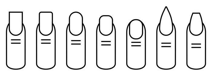 Nail shape drawing diagram template Royalty Free Vector