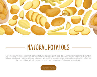 Potato design with raw root vegetable peel Vector Image
