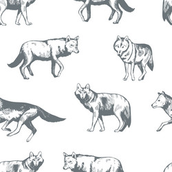 Wolf Pack Vector Images (over 580)