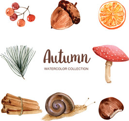 Beautiful creative autumn watercolor design Vector Image