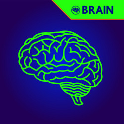 Creative human brain grand Royalty Free Vector Image