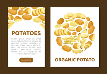 Potato design with raw root vegetable peel Vector Image