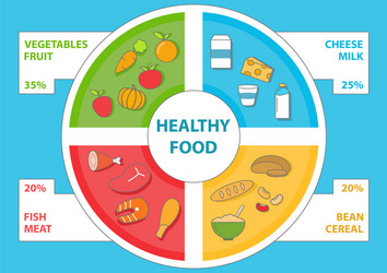 Healthy eating chart Royalty Free Vector Image