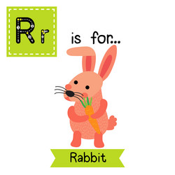 Letter r lowercase tracing pink rabbit holding Vector Image