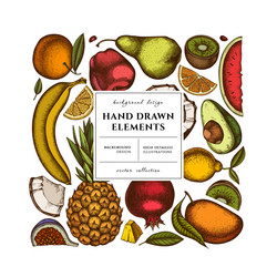 Fruits square card or invitation design frame Vector Image