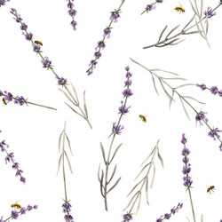 Lavanda Vector Images (over 230)