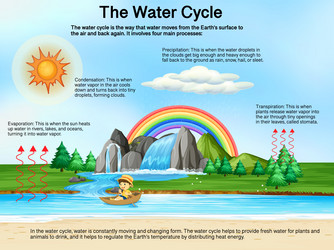 Water Life Cycle Vector Images (over 850)