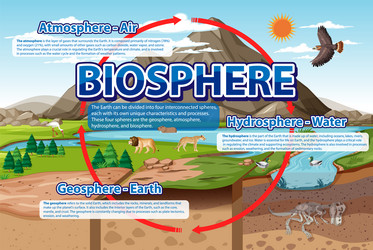 Biosphere ecology infographic for learning Vector Image