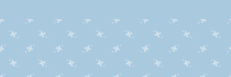 Christmas frozen snowflake seamless border Vector Image