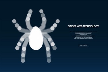 Spider hacker attack danger Royalty Free Vector Image