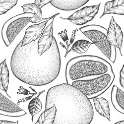 Hand drawn sketch style pomelo seamless pattern Vector Image