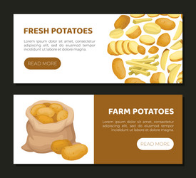 Potato design with raw root vegetable peel Vector Image