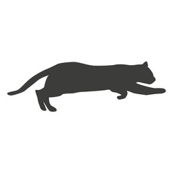 Cat Running Vector Images (over 2,800)
