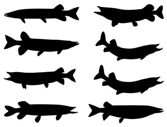 Sportfishing Vector Images (over 240)