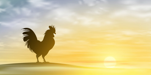 Cockerel rooster Royalty Free Vector Image - VectorStock