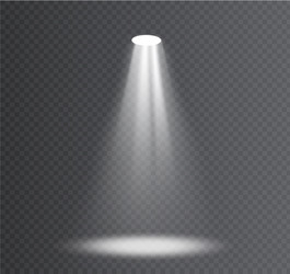 Spotlight light Royalty Free Vector Image - VectorStock