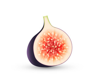 Realistic Fig Vector Images (over 390)