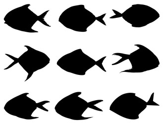Sportfishing Vector Images (over 240)