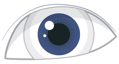 Cartoon Human Eye Vector Images (over 35,000)