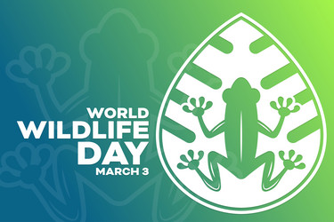 World wildlife day march 3 Royalty Free Vector Image