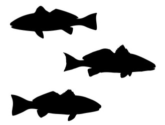 Sportfishing Vector Images (over 240)