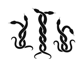 Snake iconsatan symbol Royalty Free Vector Image