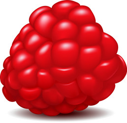Raspberry Vector Images (over 29,000)