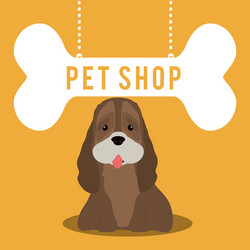 Poster pet shop cute cats yellow background Vector Image
