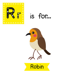Letter r lowercase tracing walking robin bird Vector Image