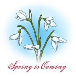 Spring flower Royalty Free Vector Image - VectorStock