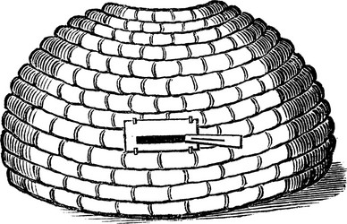 Vintage drawing or engraving antique old style Vector Image