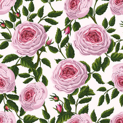 Pink english roses seamless pattern Royalty Free Vector