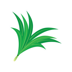 Pandan leaf icon free Royalty Free Vector Image