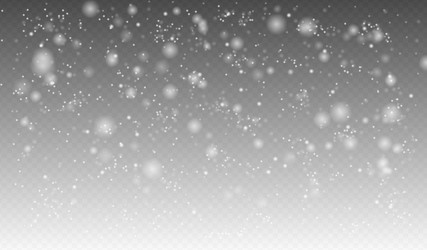 Seamless realistic falling snow isolated Vector Image