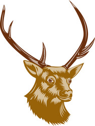 Buck Vector Images (over 9,800)